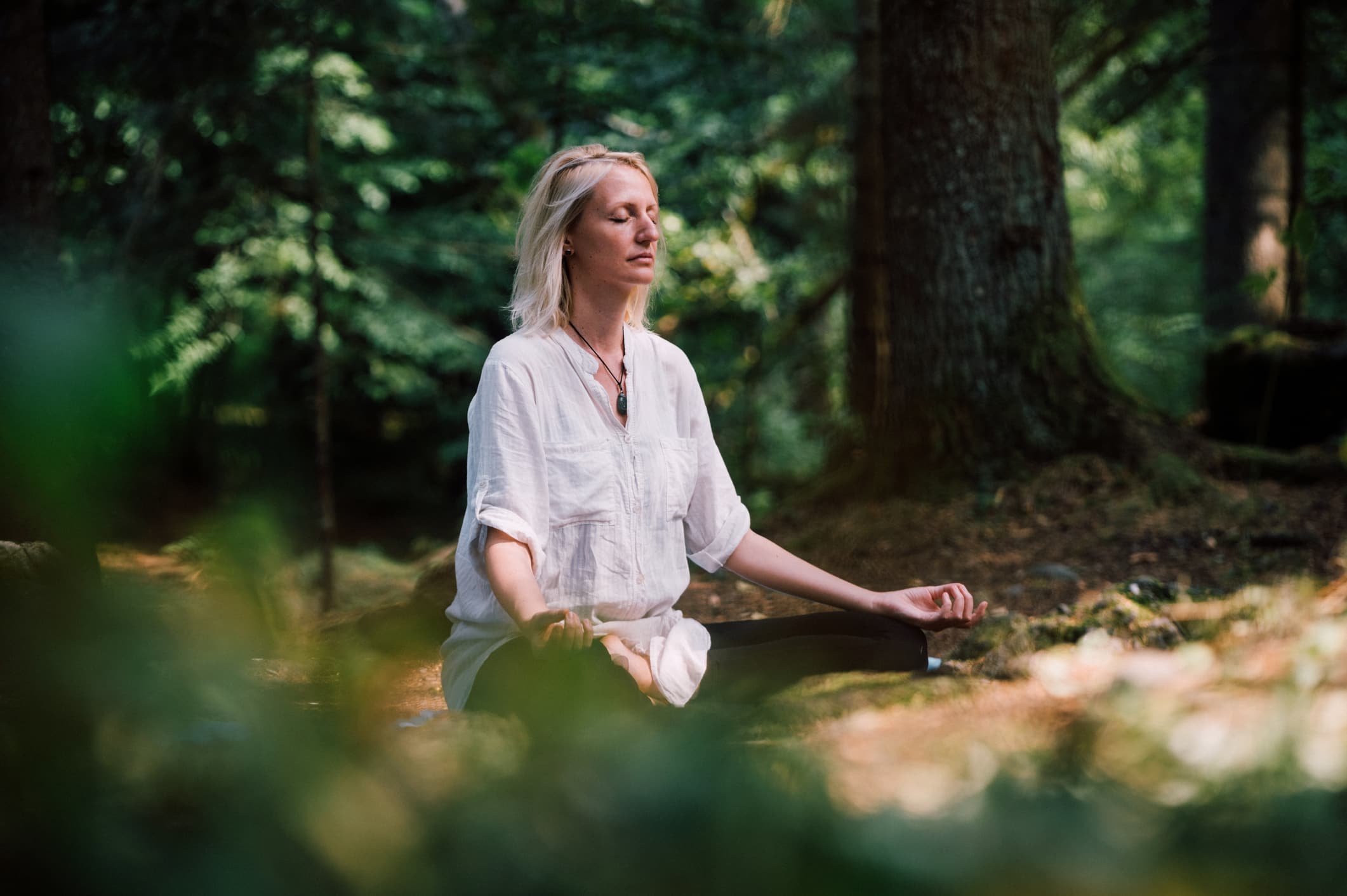 Mindfulness and Meditation in the Rainforest: How to Deepen Your ...