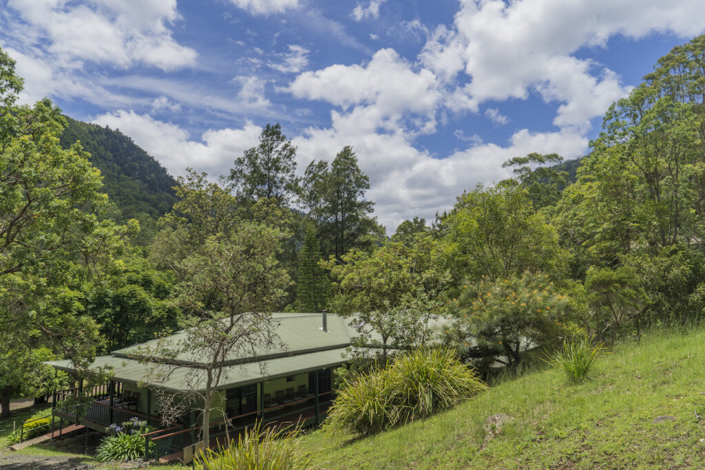Sine Cera Rainforest Retreat - Sine Cera
